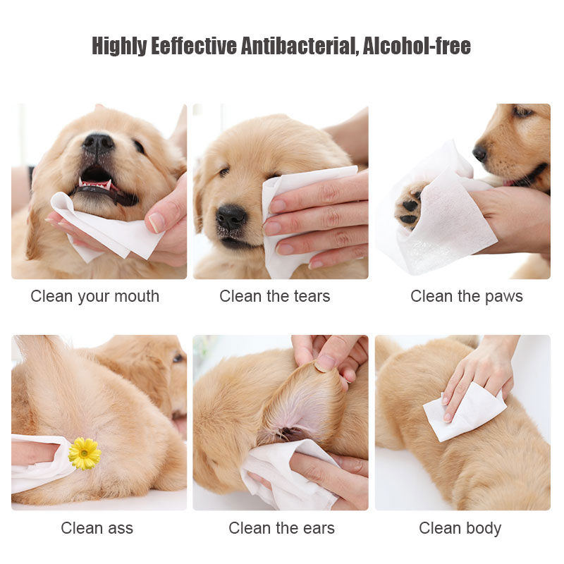 Biodegradable Dog Cleaning Wipes for Body-Sywipe