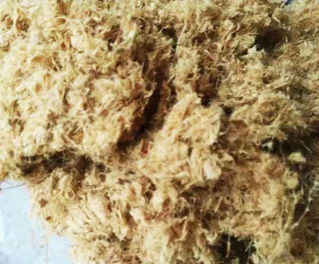 Best Wood Pulp Toilet Paper | China Manufacturer