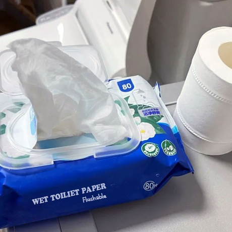 Wet Tiolet Paper vs. Toilet Tissue: Hygiene Compared