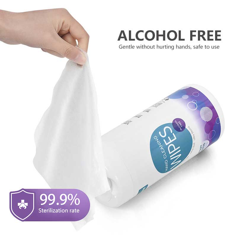 Best Sanitizing Cleaning Hand Wet Wipes -China Manufacturer