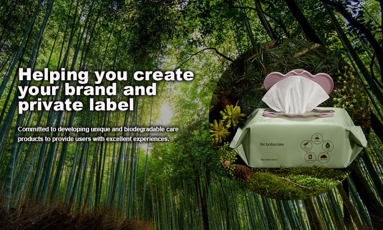 Best Wet Wipes Manufacturers | Baby care wipes China Suppliers