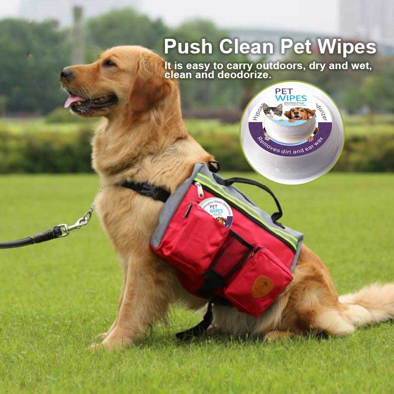 Push Clean Wipes: Portable Pet Deodorizing Wipes for Travel