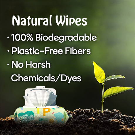 2024 Eco-Friendly Wet Wipes: Sustainable Solutions