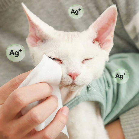 How To Use Wipes on Your Pets?Sywipe Pet Products Supplier